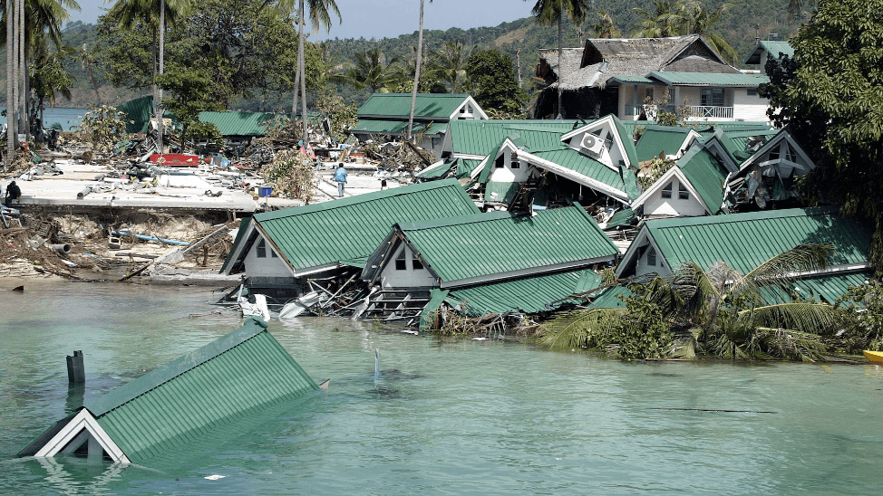 In memory of the tsunami 20 years later
