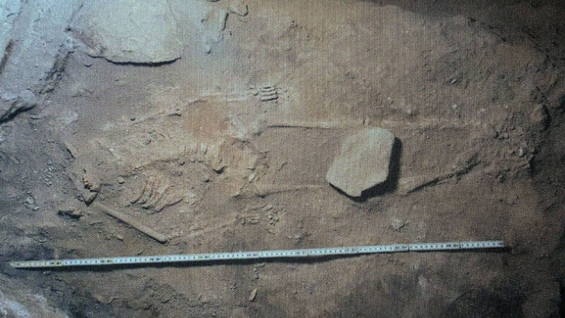 Thailand’s oldest human skeleton found in Sam Roi Yot National Park