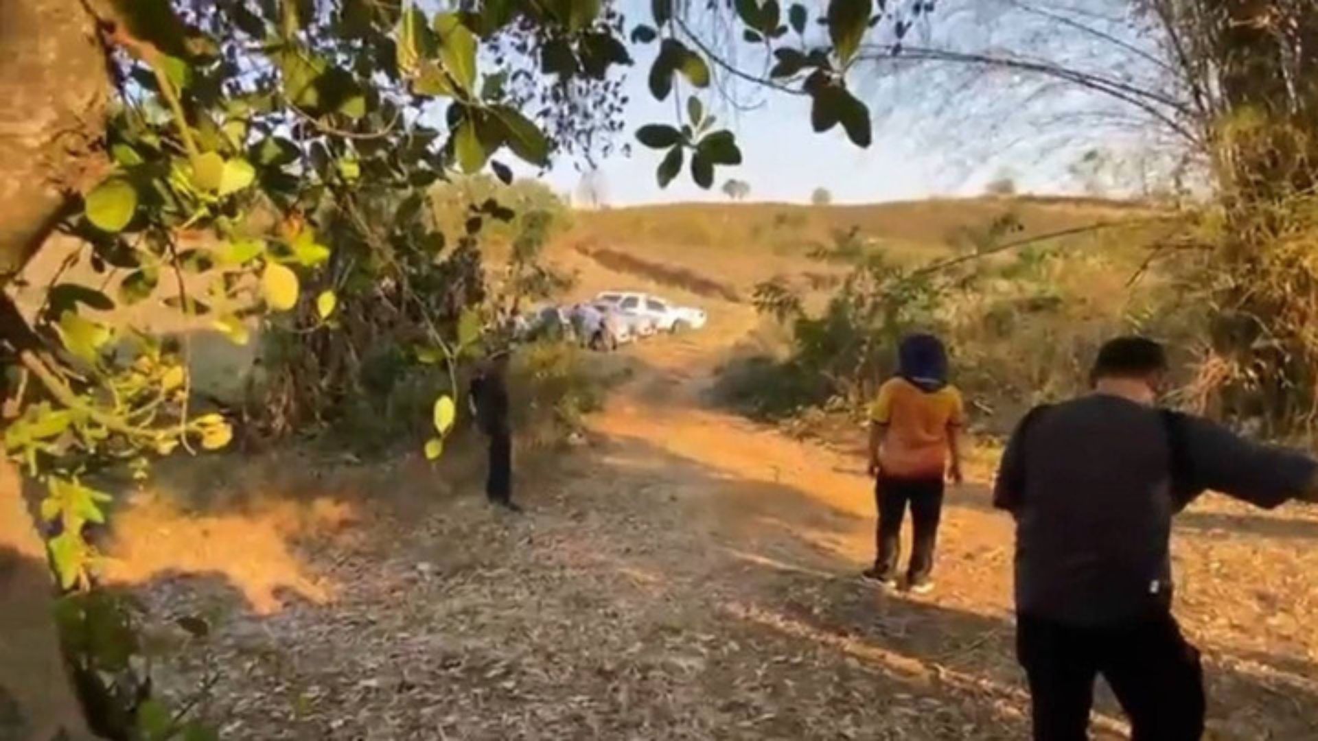 Wild elephant kills official, injures another in Phetchabun orchard