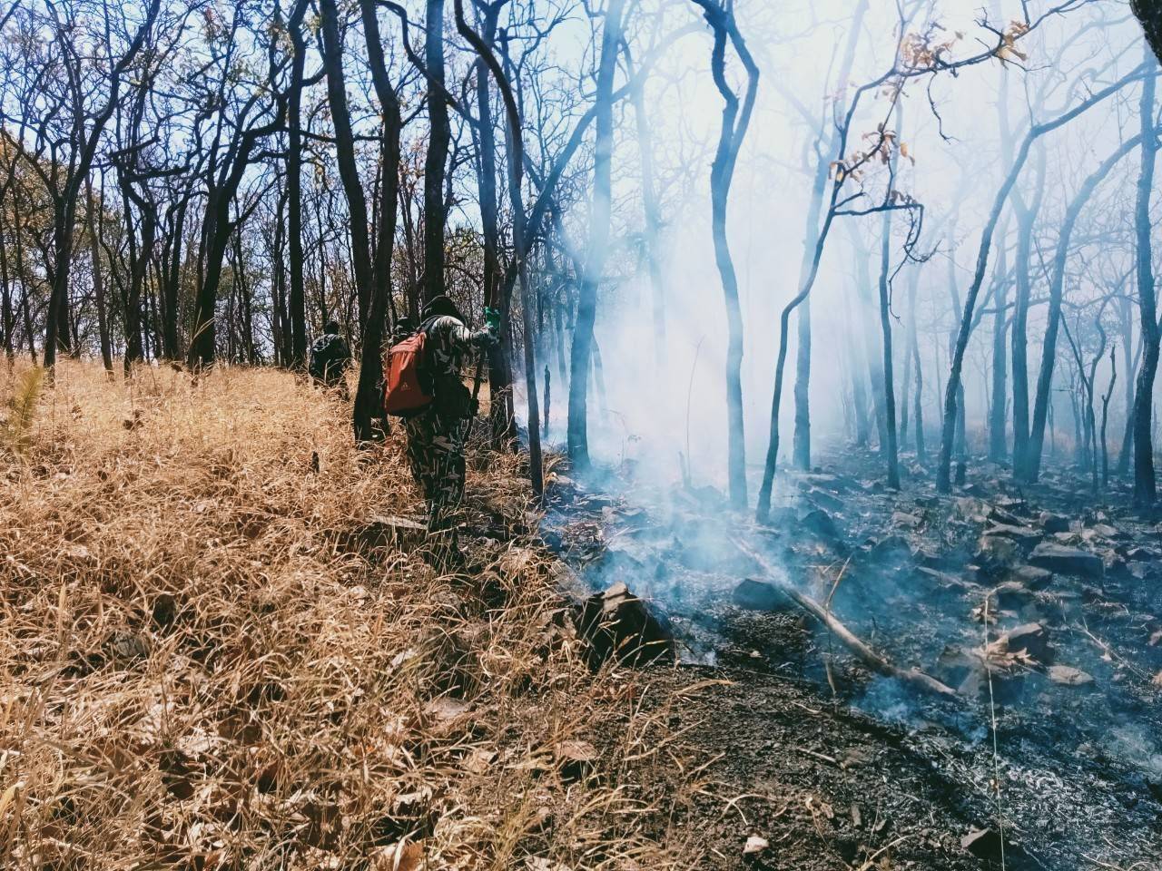 Haze set to return to north, northeast and west this week