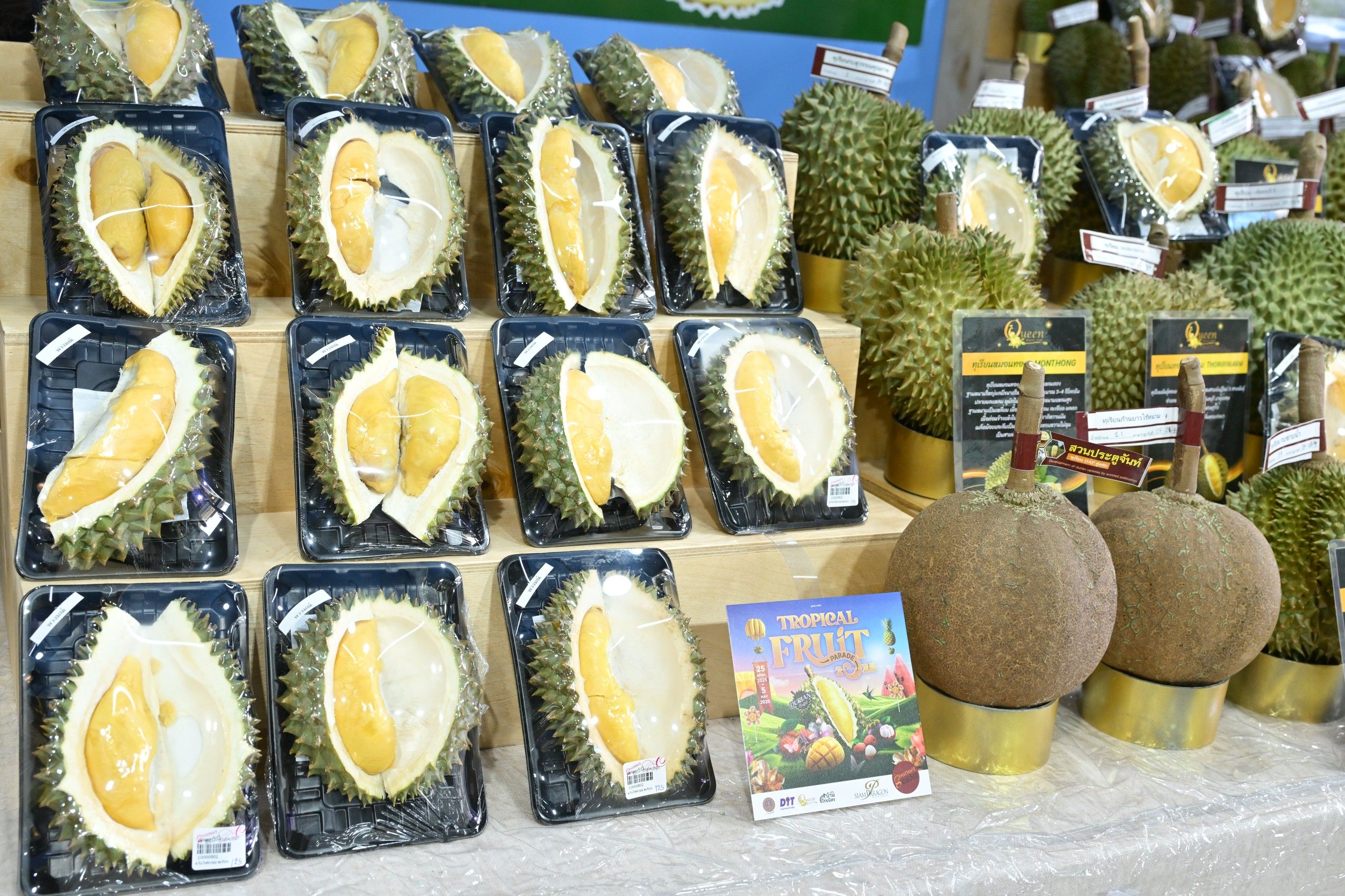 Beyond the Smell: Inside durian mania