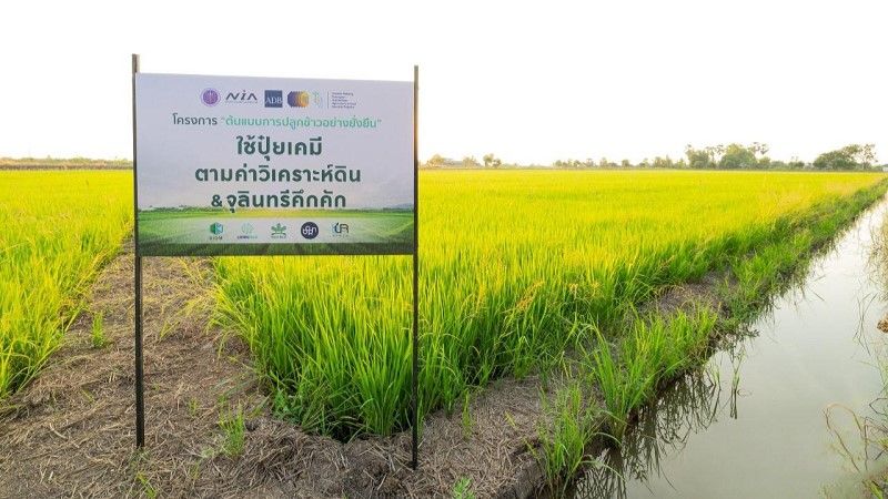 NIA introduces a new model to accelerate agricultural technology adoption