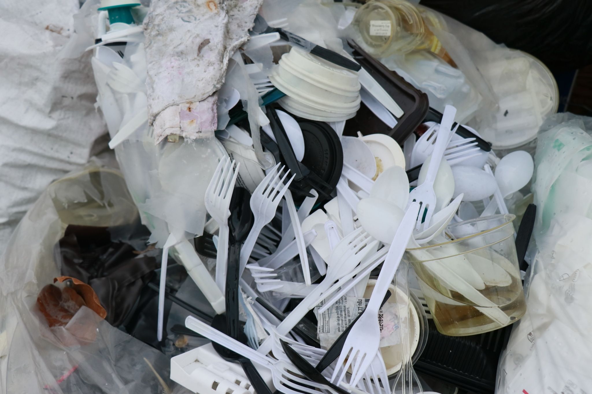 Green advocates push to sort and recycle plastic waste