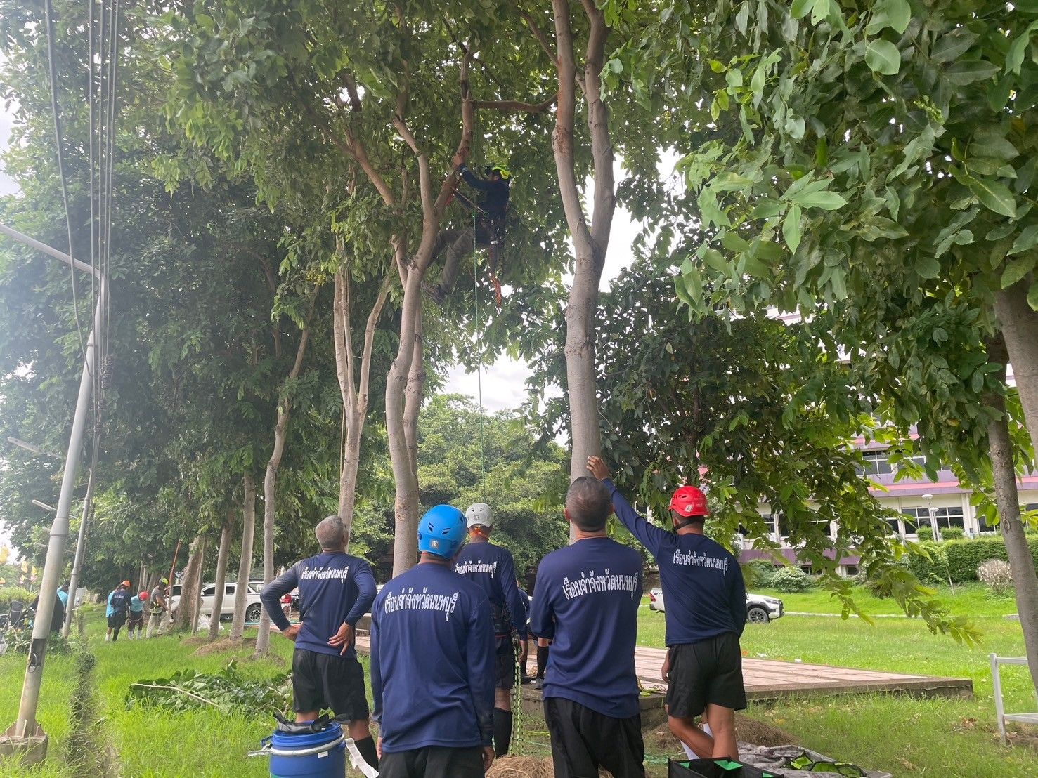 New Program Offers Former Inmates a Green Path to Reintegration