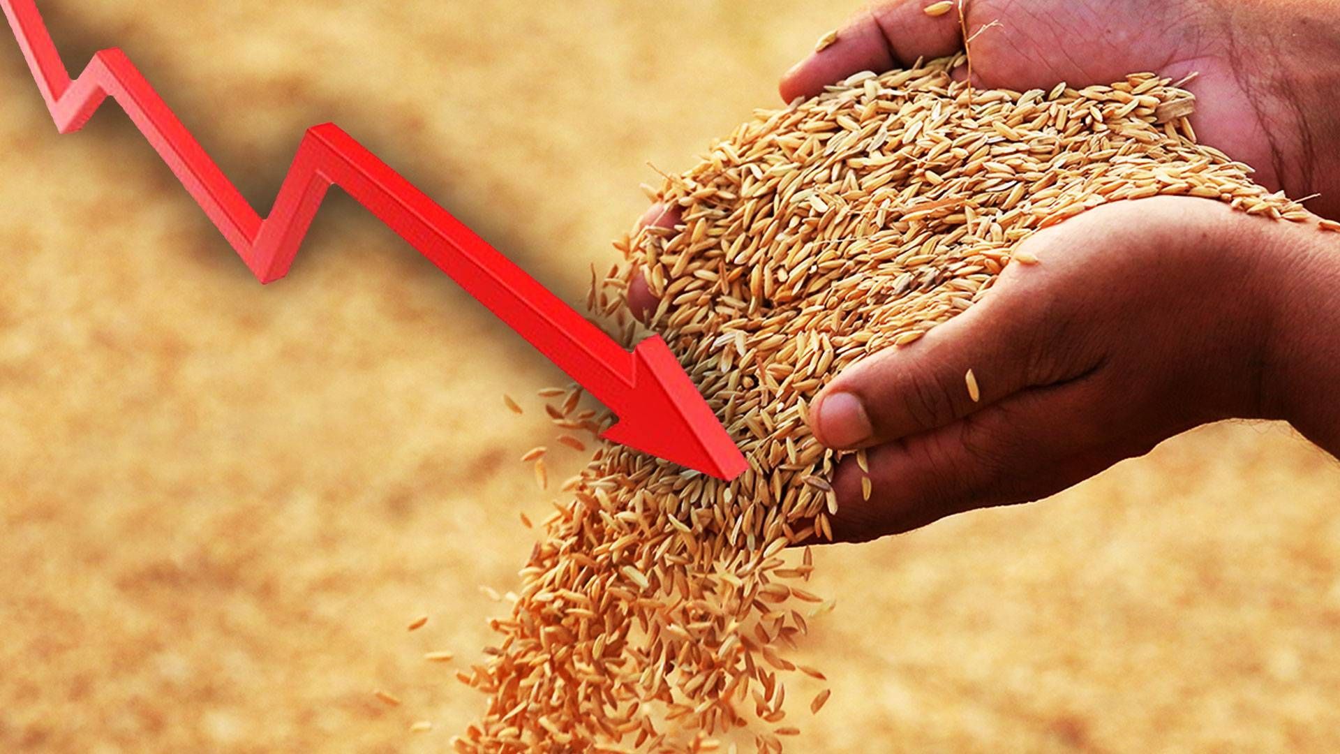 Vietnam may overtake Thailand as the world’s second-largest rice exporter