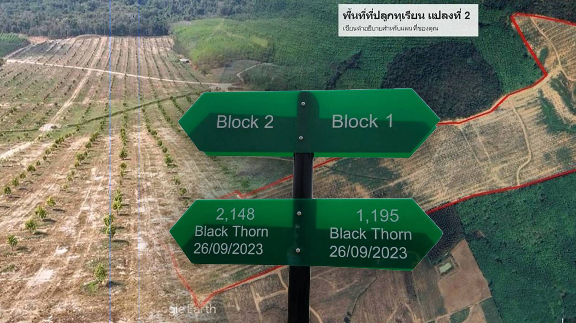 Minister orders probe into illegal sale of state land meant for ...