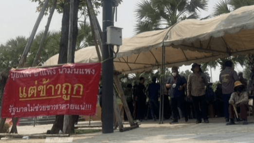 Protesting rice farmers rally in front of parliament