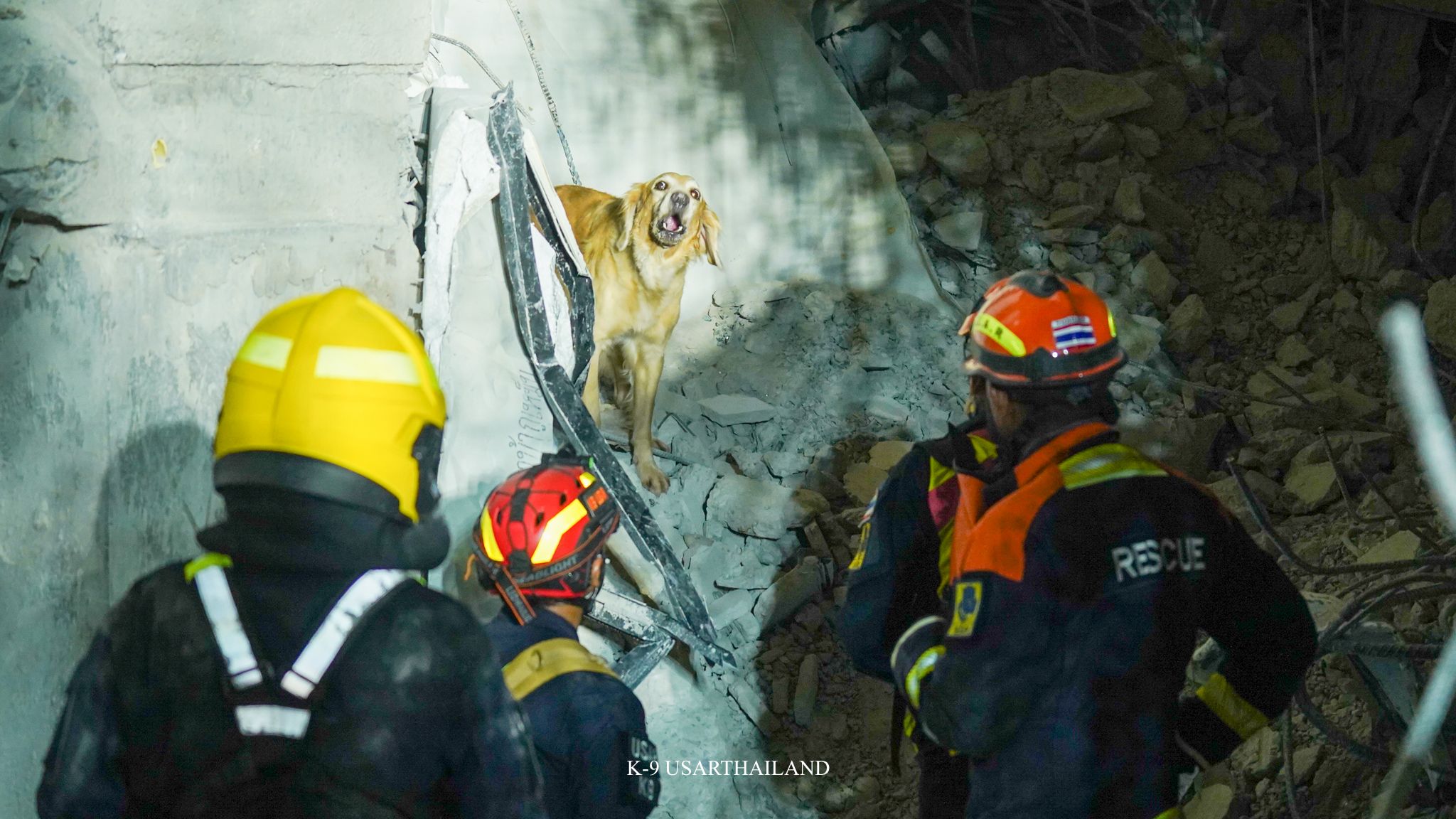 K9 USAR search team withdrawn after 11 days of SAO rubble