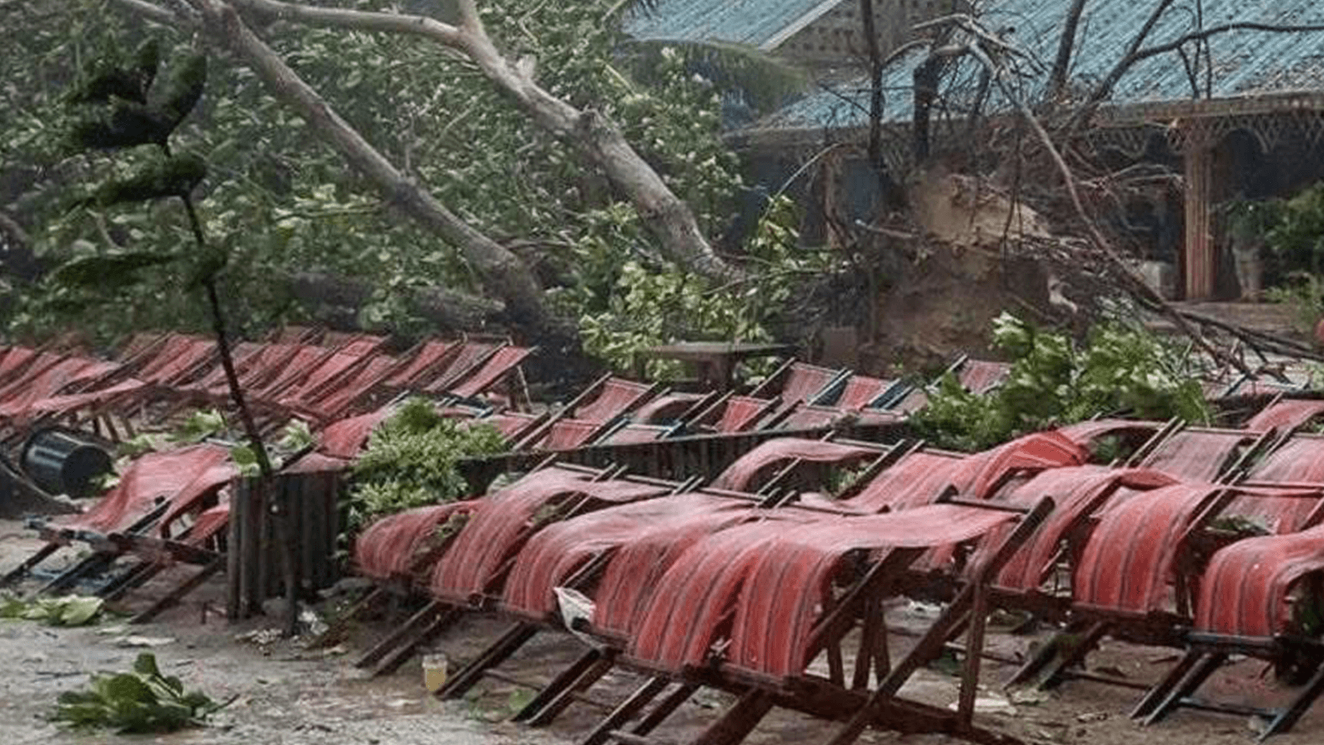 Storm Wipha wreaks havoc in Phuket, 22 provinces brace for its impacts