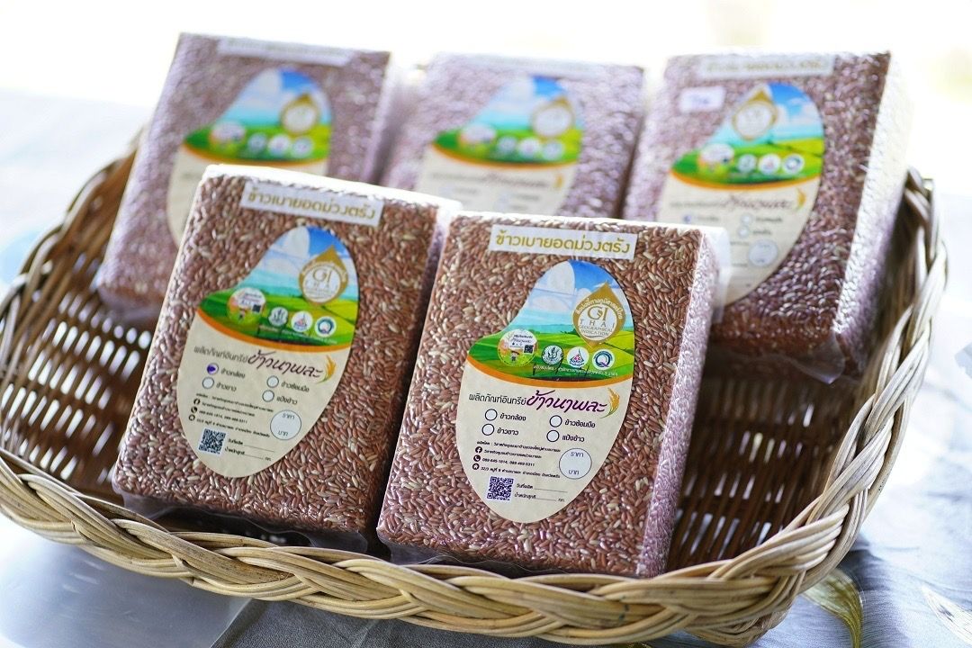 Thai rice: a wealth of indigenous rice varieties