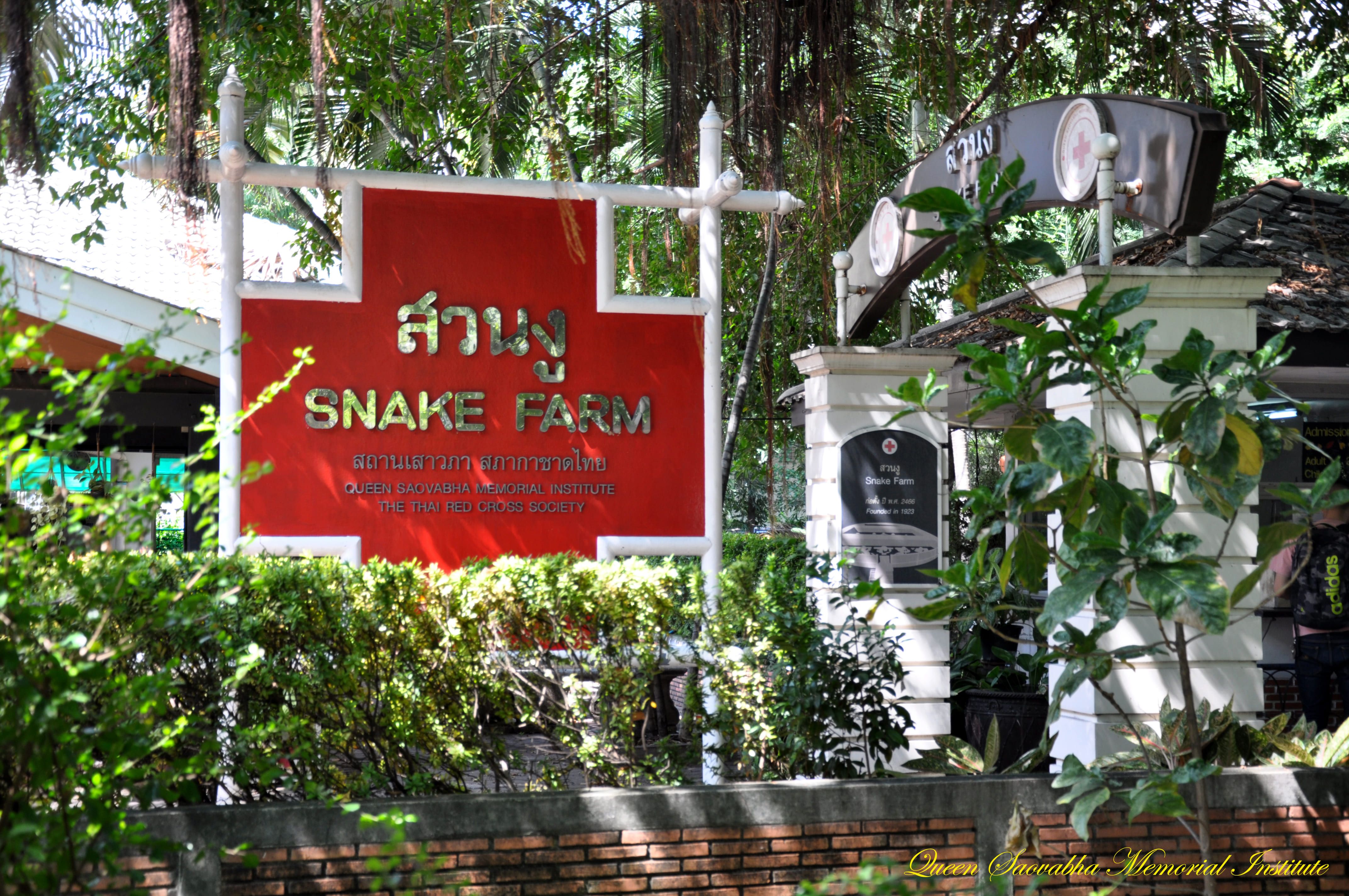 Snake farm hopes to foster coexistence
